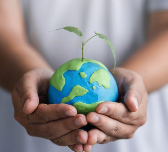 Green Project Management - Cenit College